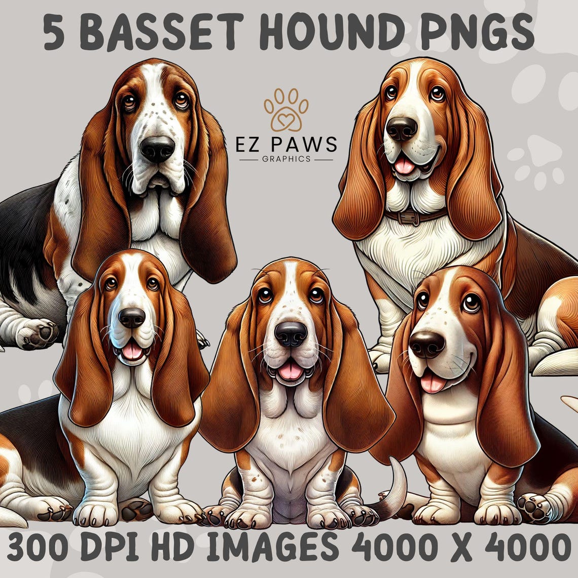 Dogs Clipart, 5 PNG Adorable Basset Hound Graphics, Cute Basset Dog ...
