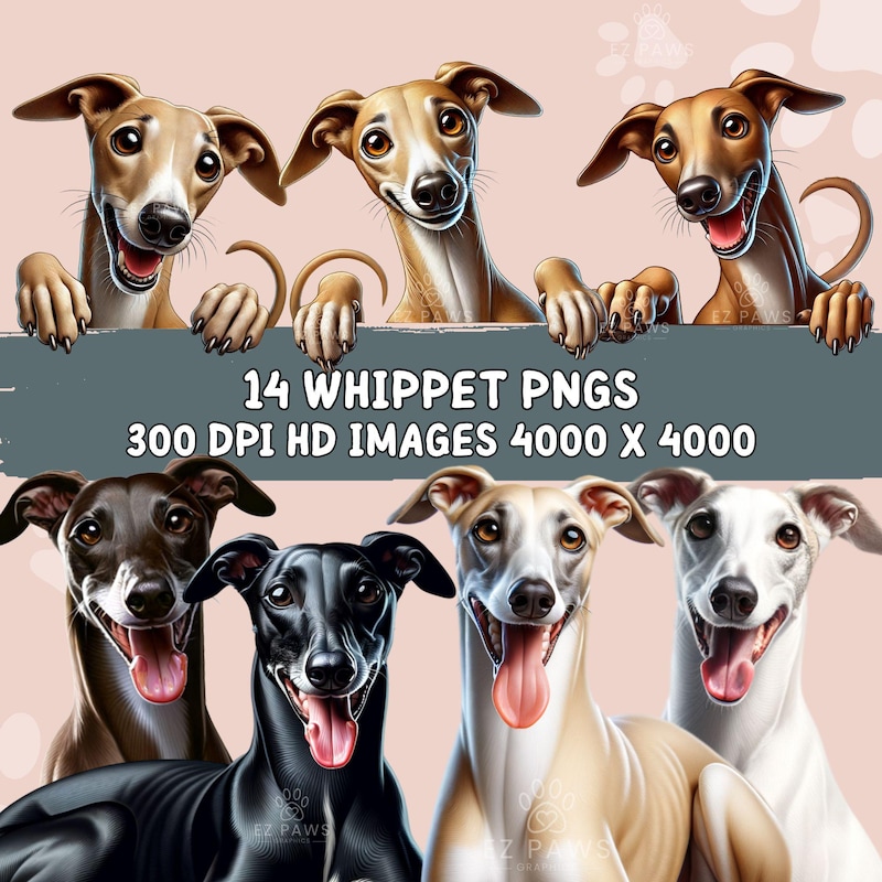 Whippet Art - Etsy