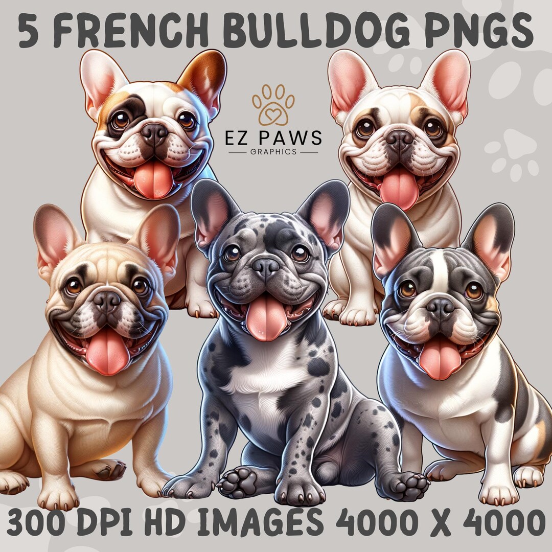 Dogs Clipart, 5 PNG Adorable French Bulldog Graphics, Cute Frenchie Dog ...