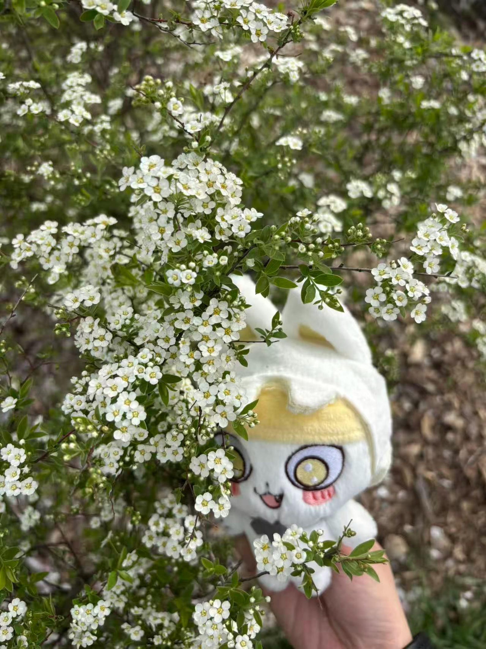 Asaba Harumasa · Handmade Fan-made Plush Doll - Etsy