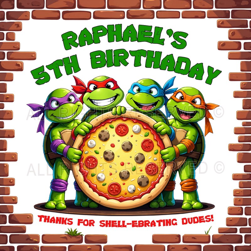 Turtles Pizza Boxes - Etsy