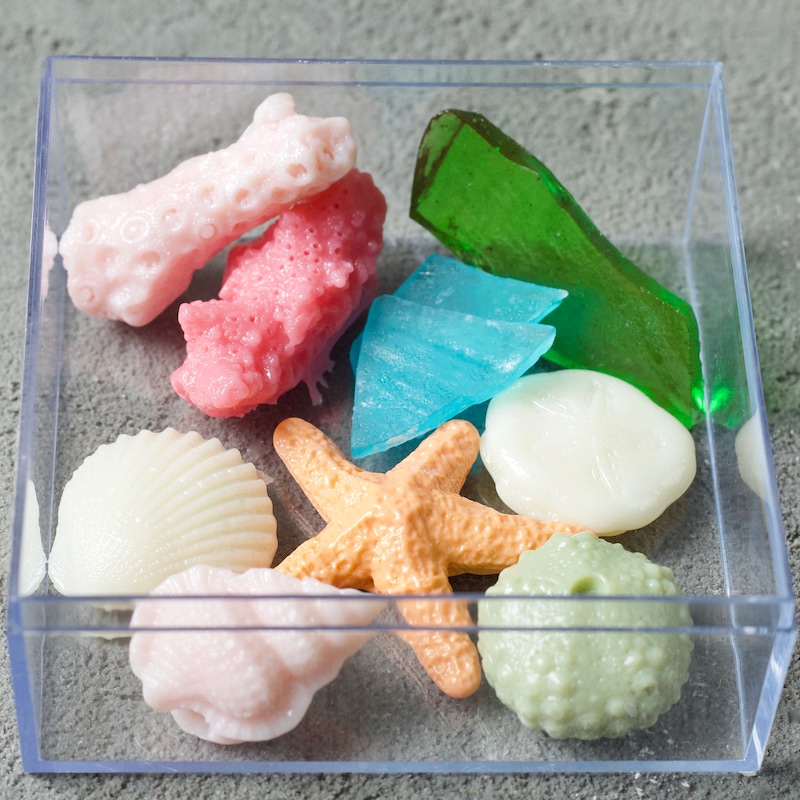 Edible Sea Shells - Etsy