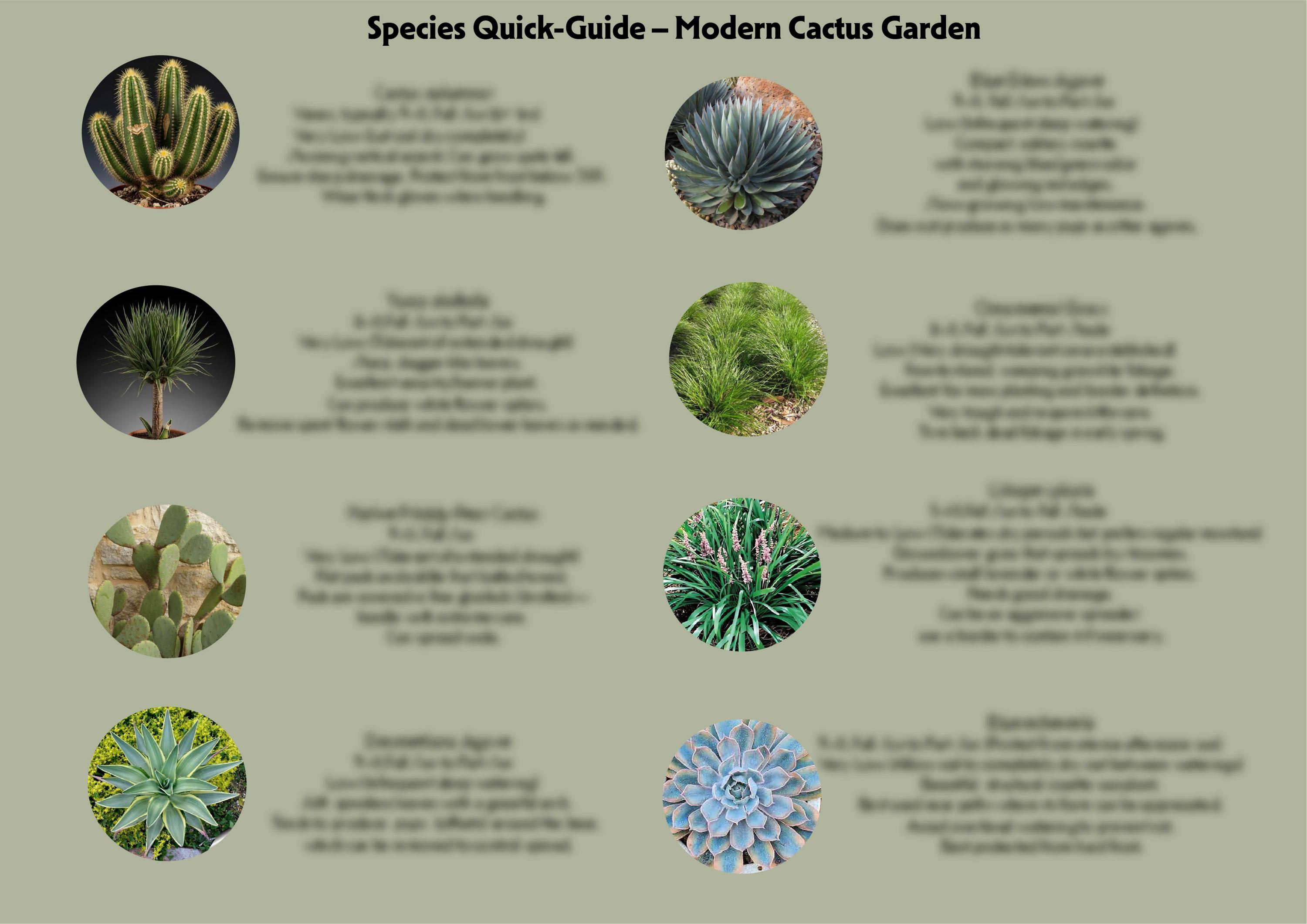 Landscape Design Desert Garden Plan | Xeriscaping Layout, Florida Texas ...