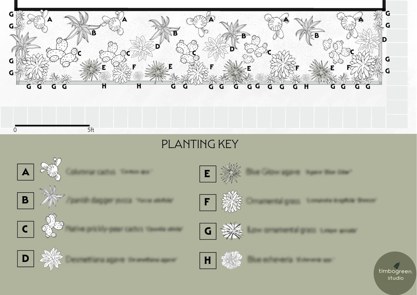 Landscape Design Desert Garden Plan | Xeriscaping Layout, Florida Texas ...