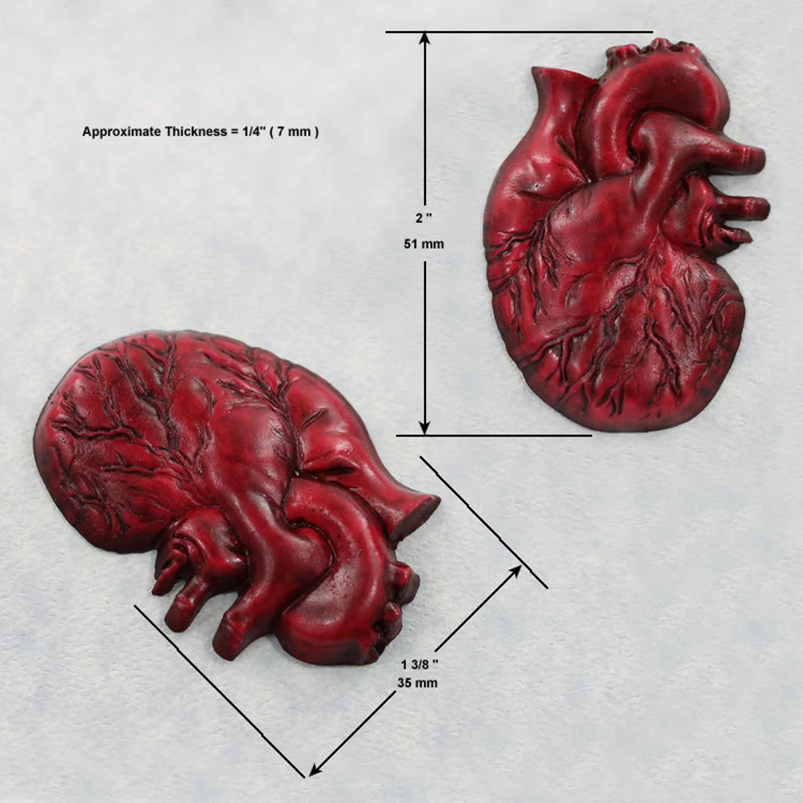 Anatomical Heart Mold Silicone Mould Resin Chocolate Fondant Clay Wax ...