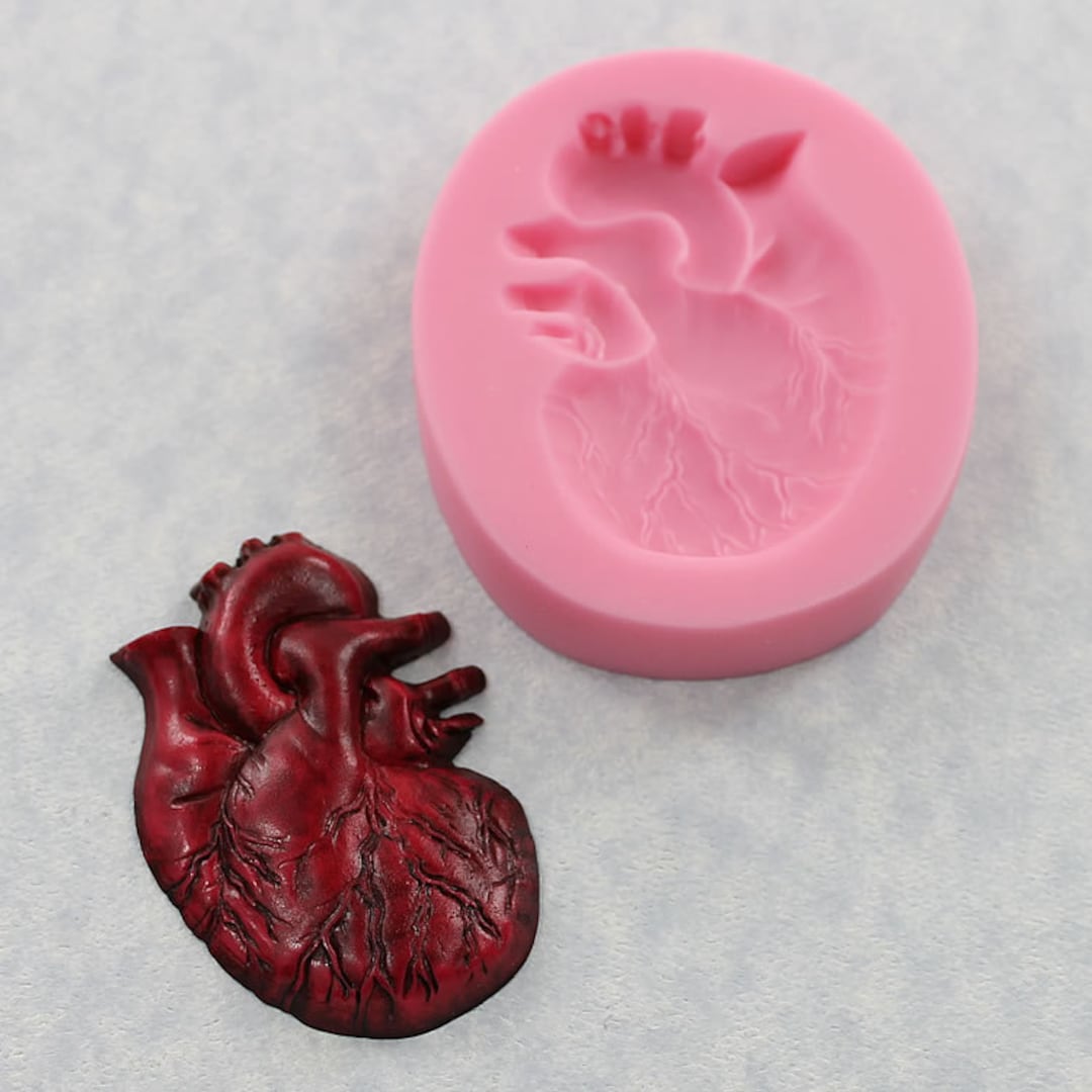 Anatomical Heart Mold Silicone Mould Resin Chocolate Fondant Clay Wax ...