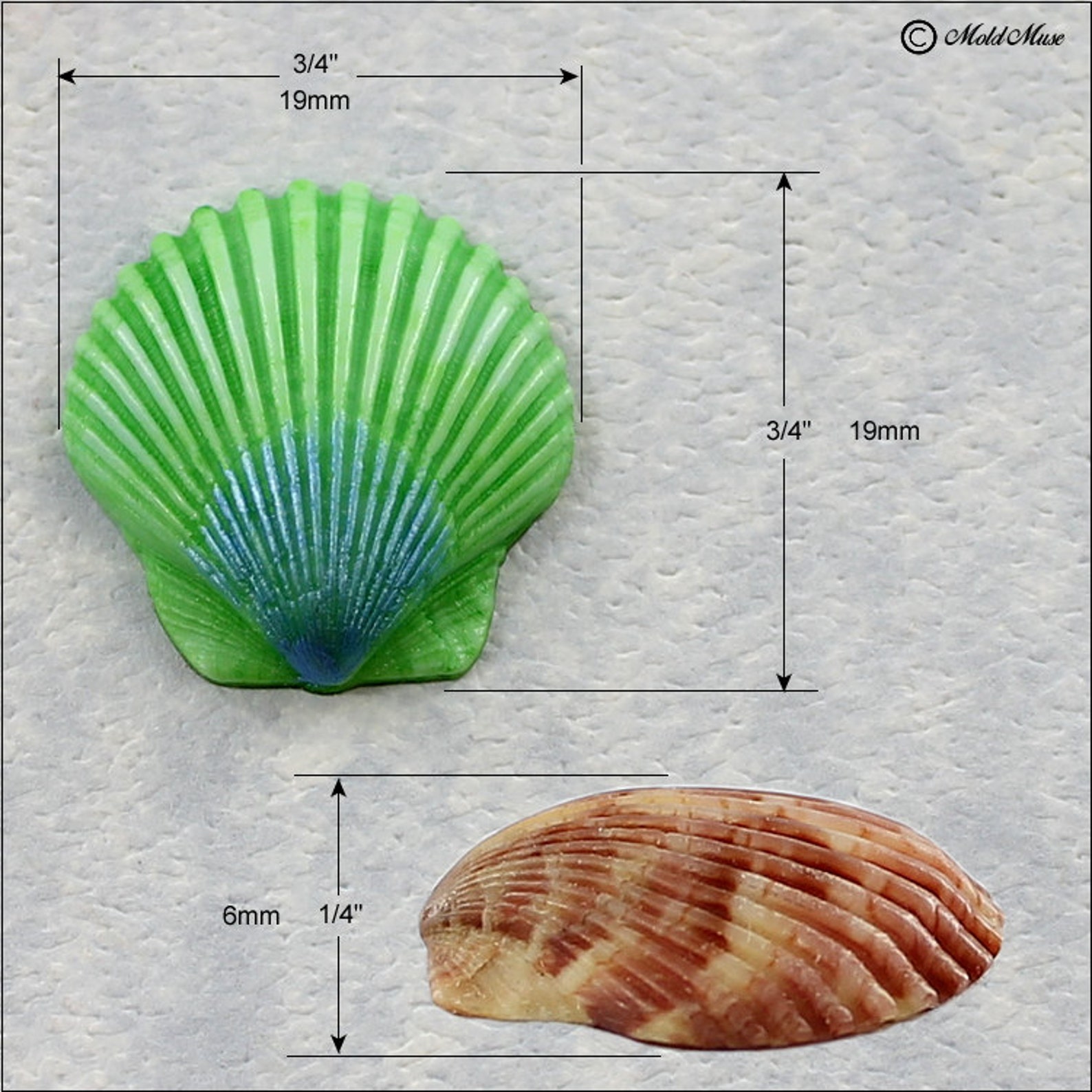 Seashell Silicone Mold Sea Shell Resin, Polymer Clay, Fondant, Candy ...