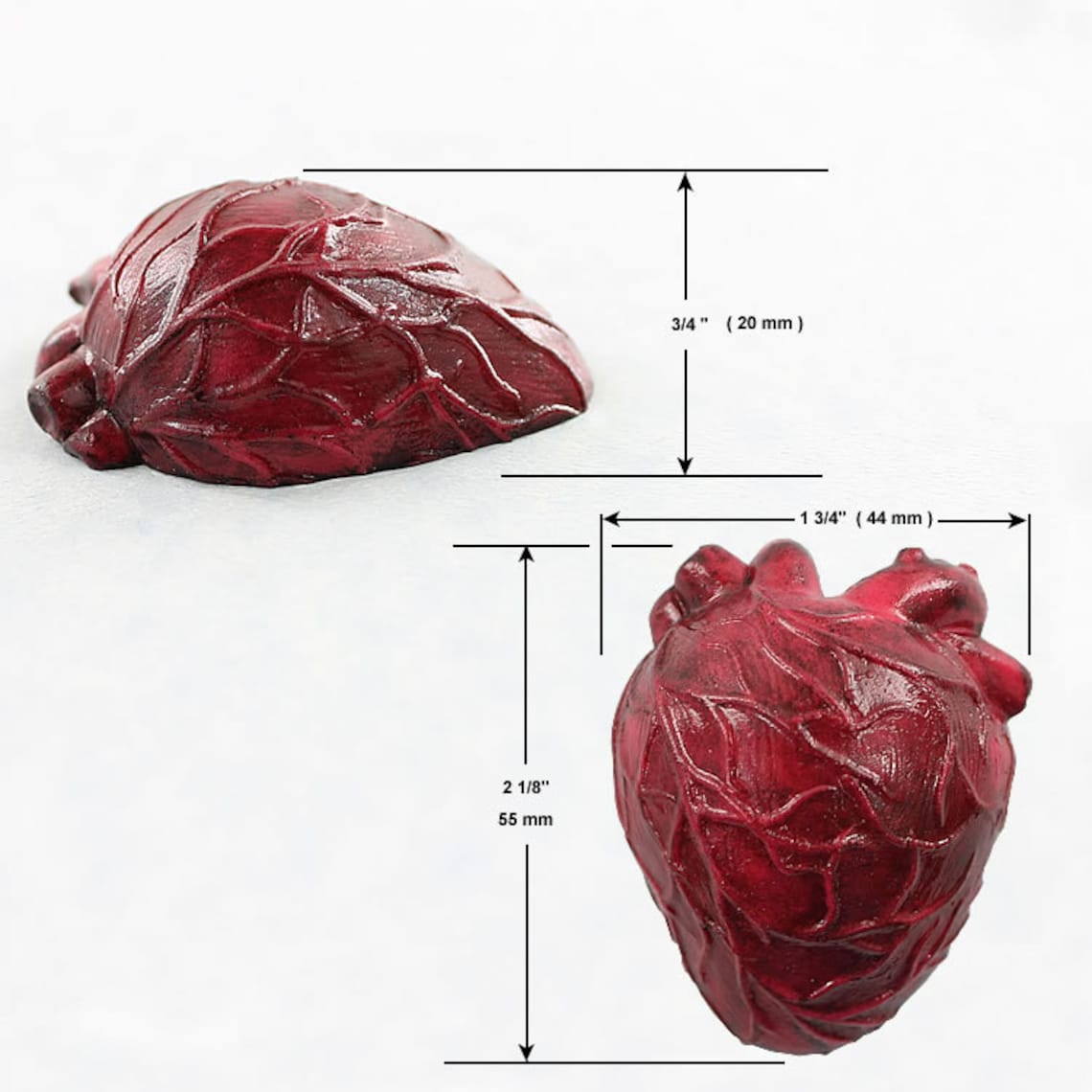Large Anatomical Heart Silicone Mold 345 - Etsy