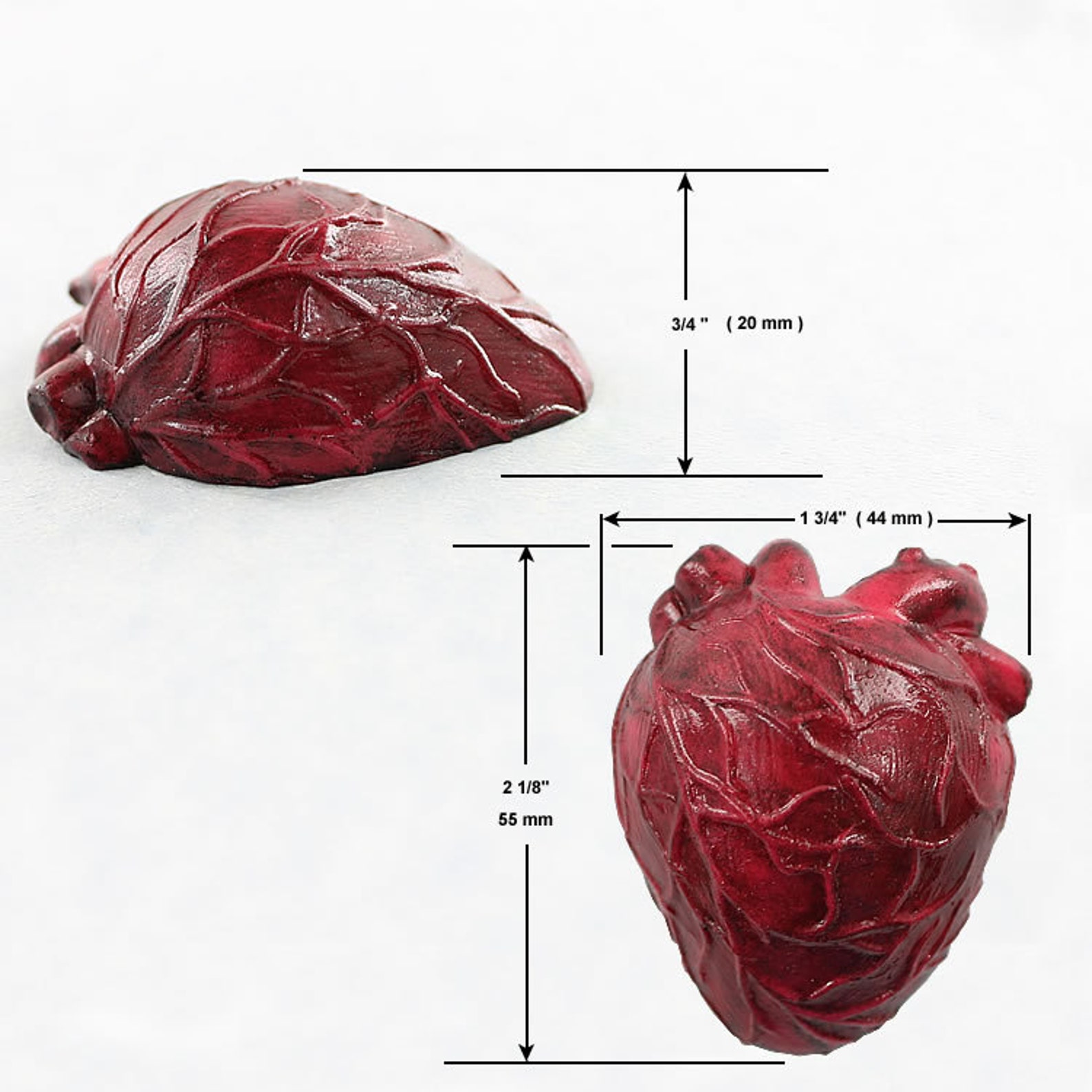 Large Anatomical Heart Silicone Mold 345 - Etsy