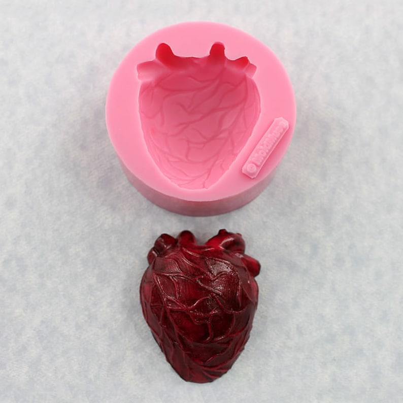 Large Anatomical Heart Silicone Mold (345) - Etsy