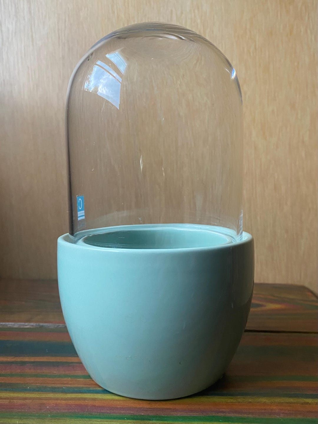 Seafoam Green Ceramic and Glass Terrarium, Microclimate With Hand ...