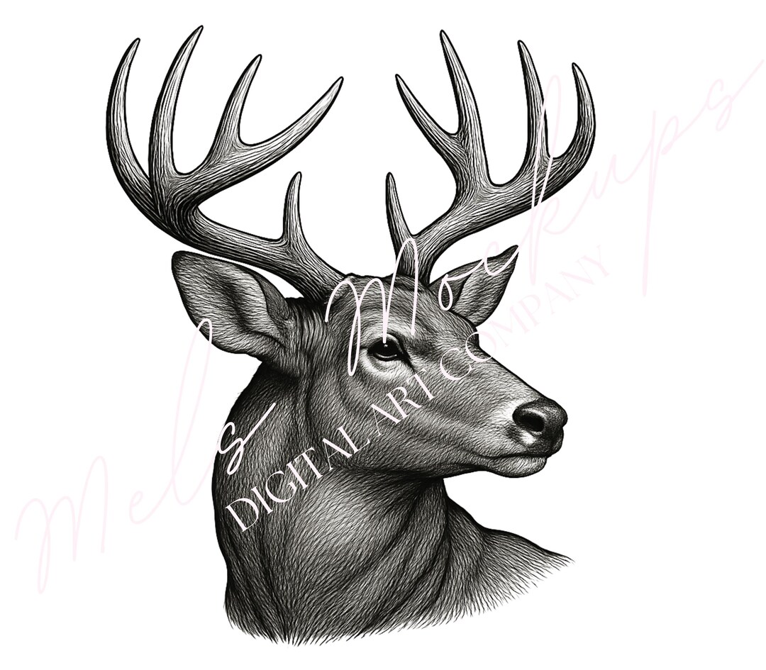 Detailed Deer Head SVG | Whitetail Buck Hunting Design (digital ...