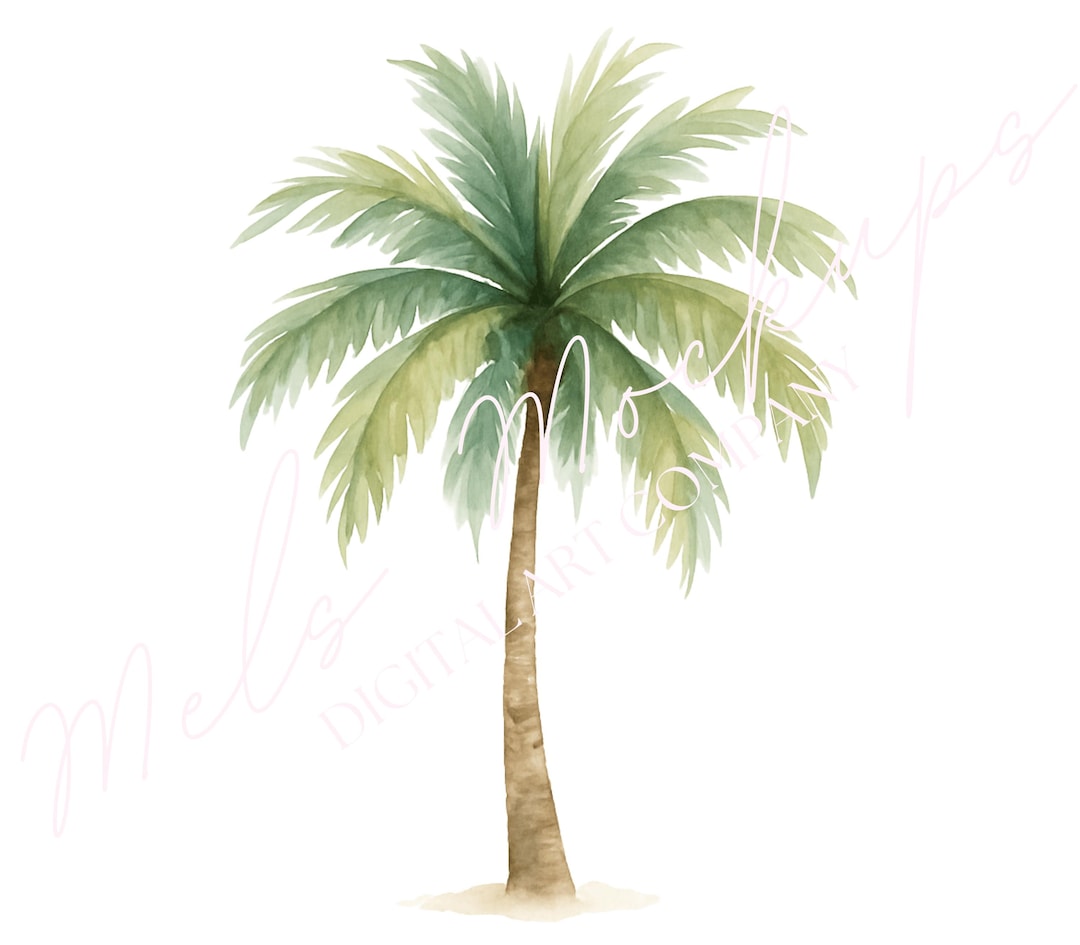 Watercolor Palm Tree Clipart, Tropical Green Palm Trees PNG, Coconut ...