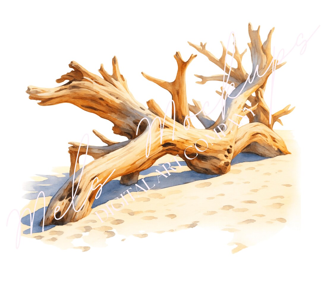 Watercolor Driftwood Clipart Set, Coastal Wooden Logs (digital Download ...