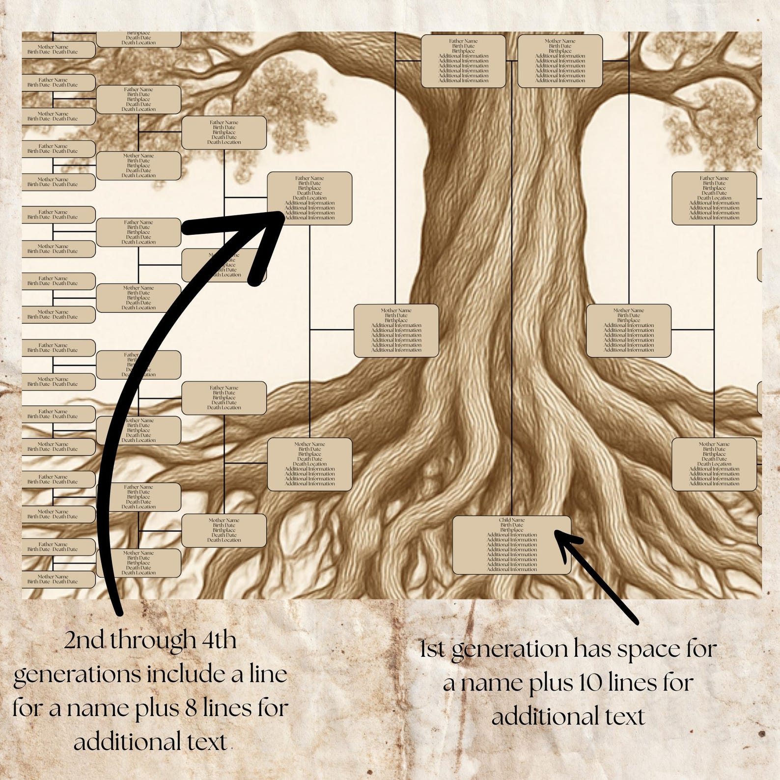 9 Generation Family Tree Template: Vintage Genealogy Chart (digital ...