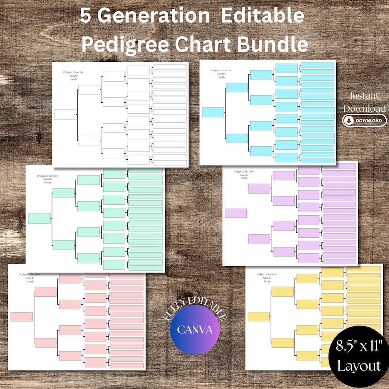Pedigree Chart - Etsy