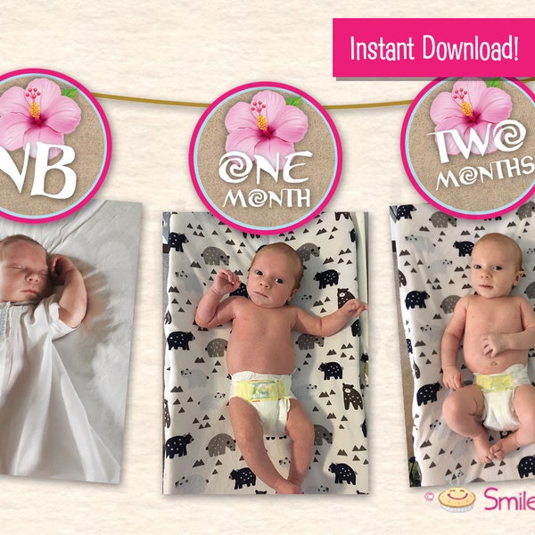 12 Month Banner - Etsy