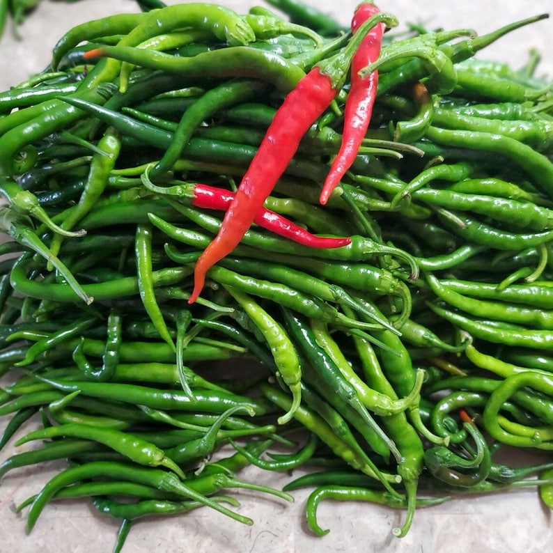 50+ Cayenne Long Slim Pepper Seeds | Hot Chili Heirloom Seeds | Non-gmo ...
