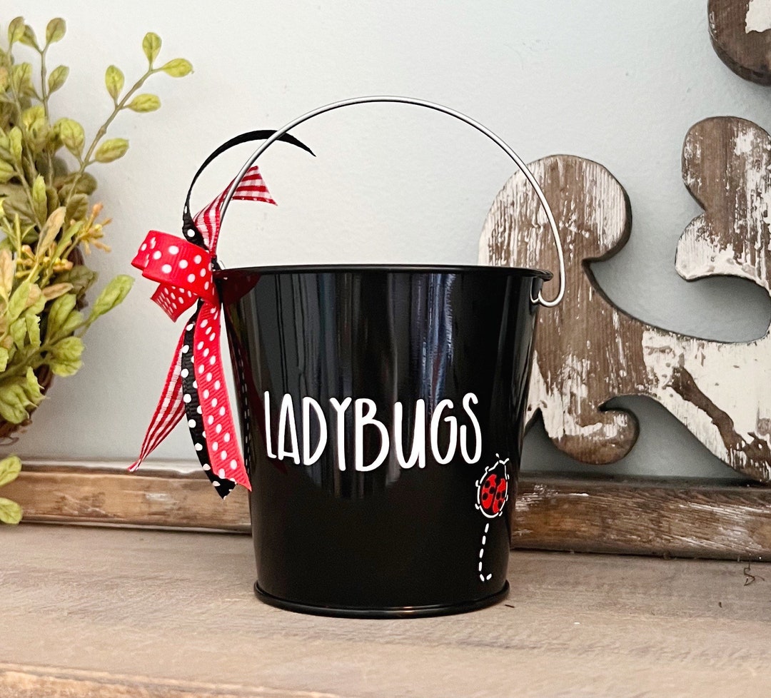 Mini Ladybugs PAIL. 3 TALL Ladybug TRAY Decor. Red Black Decor. Lady ...