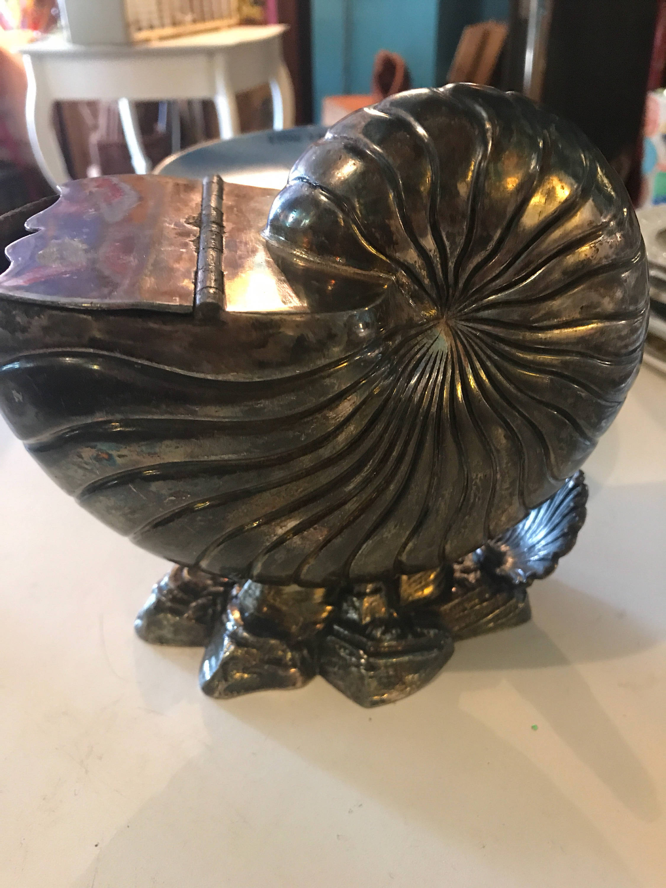 Antique Victorian Silver Plated Nautilus Shell Spoon Warmer. Spoon ...