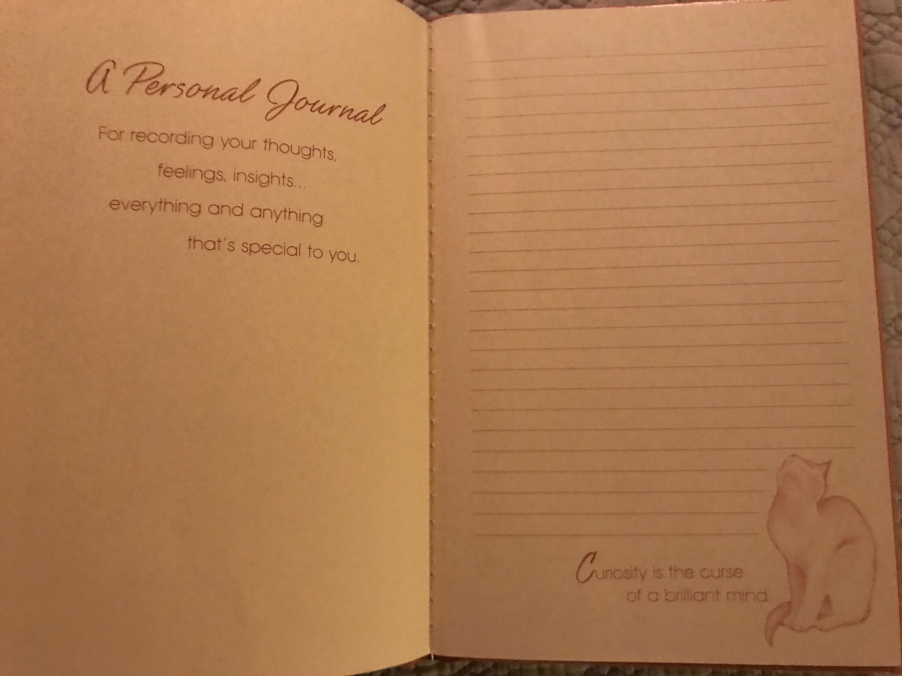 Vintage Hallmark Journal. Deadstock Hallmark Paper Journal. Cat Journal ...