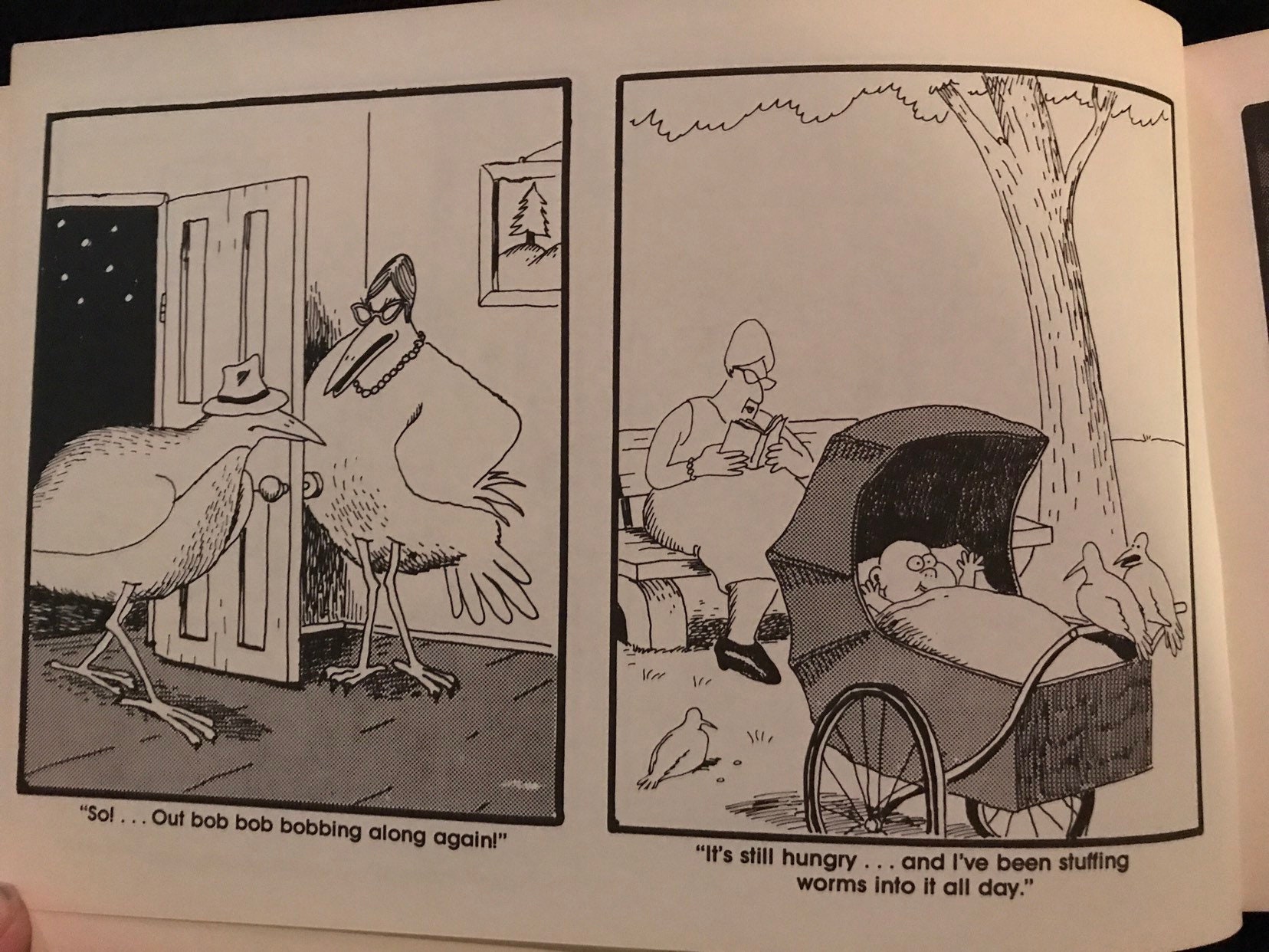 Vintage The Far Side By Gary Larson. The Far Side Comic.