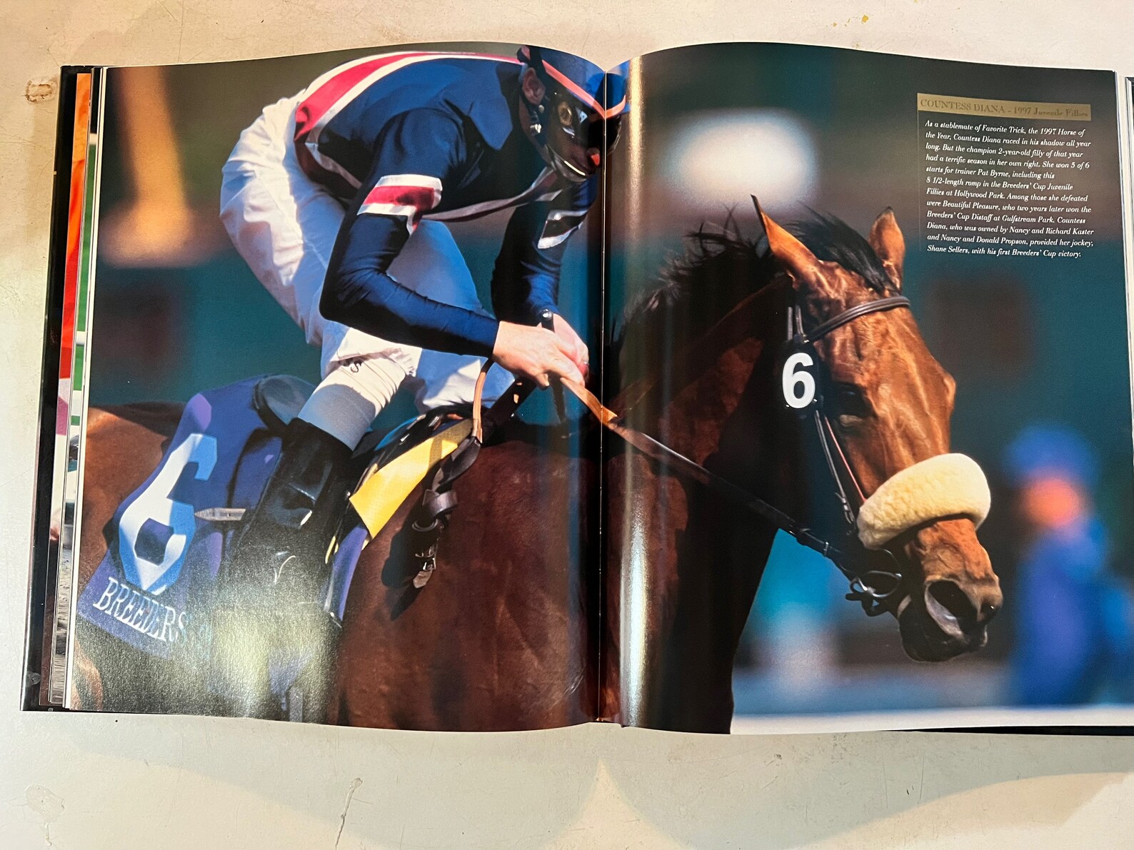 Vintage 2000 Breeders Cup Coffee Table Book, Jay Privman - Etsy