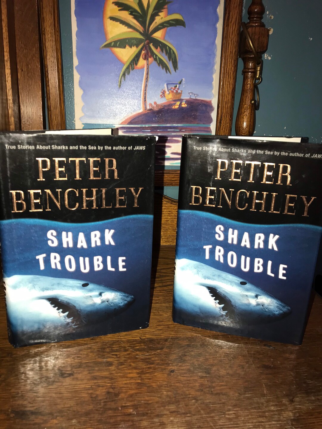 2002 Shark Trouble by Peter Benchley, First Edition - Etsy