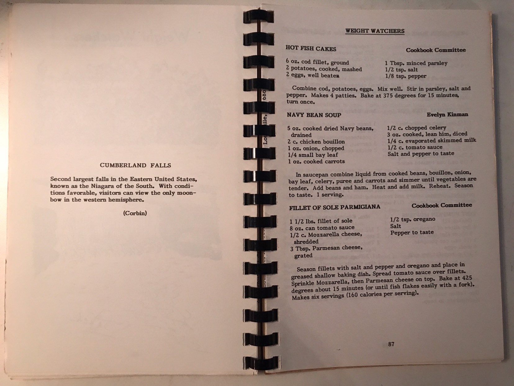 Vintage Cookbook. Kentucky Cookbook. Vintage Kentucky's Winning Recipes ...