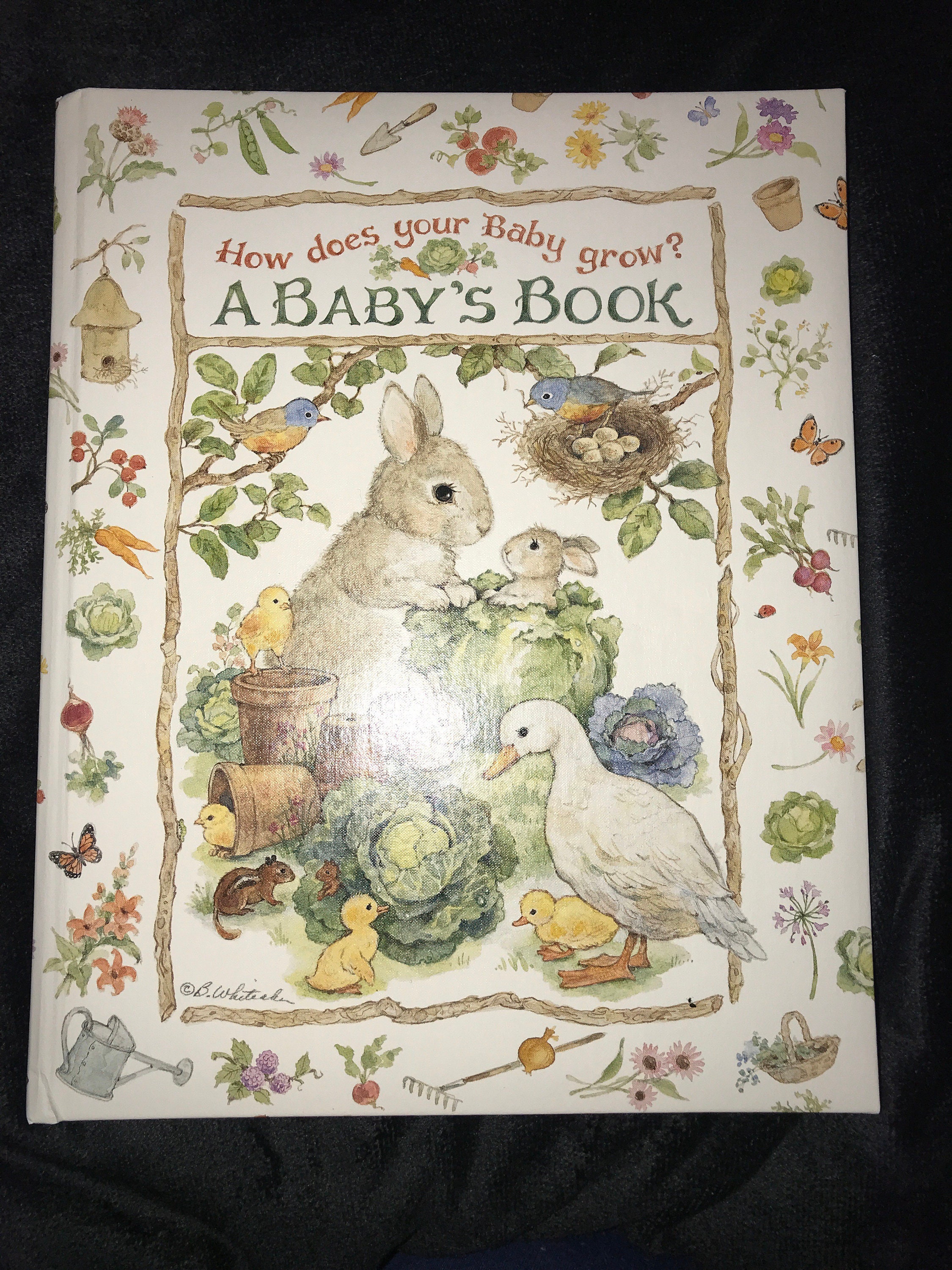 Vintage Baby Book. New Vintage Baby Book. C.R. Gibson Baby Book