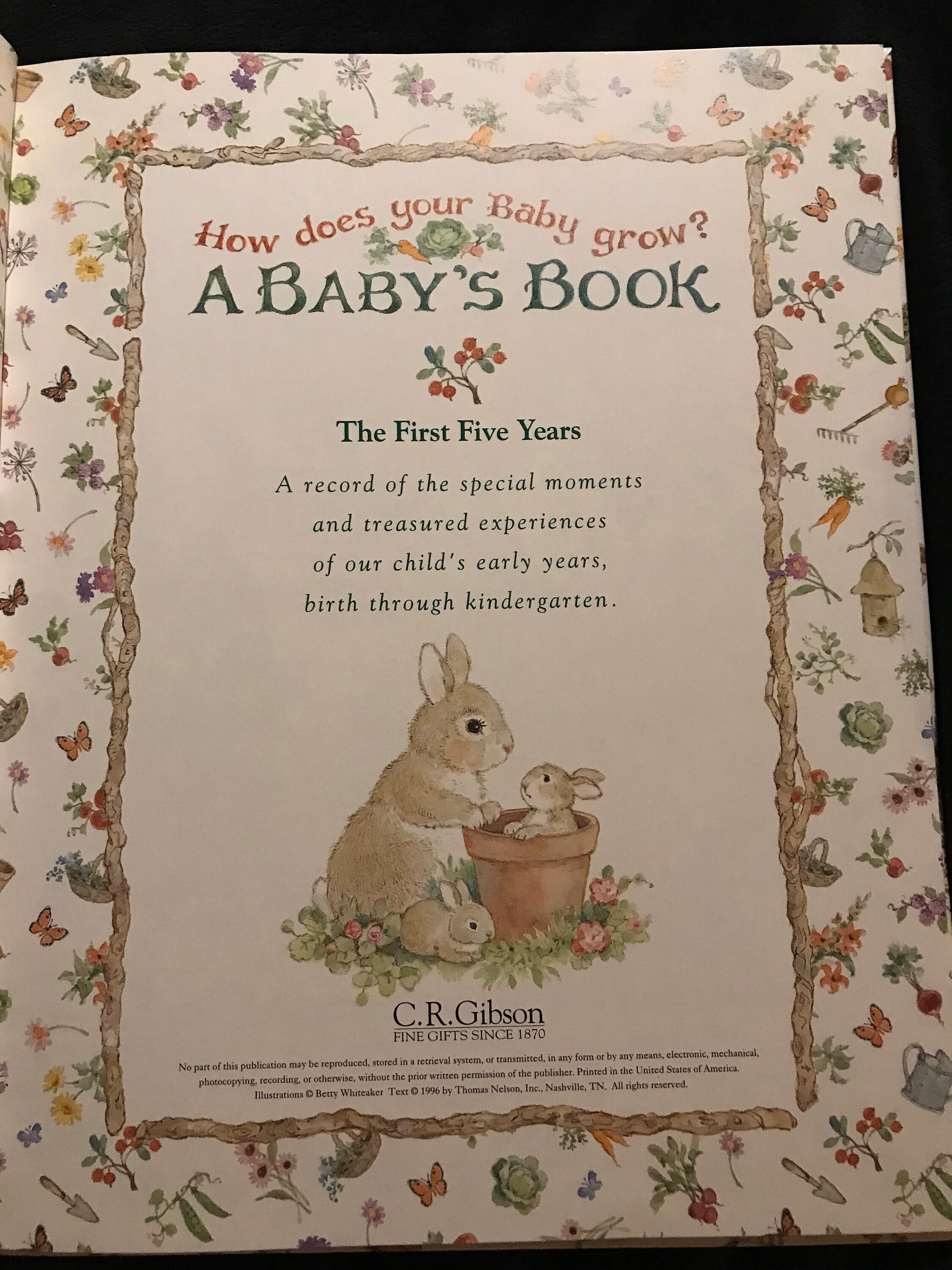 Vintage Baby Book. New Vintage Baby Book. C.R. Gibson Baby Book