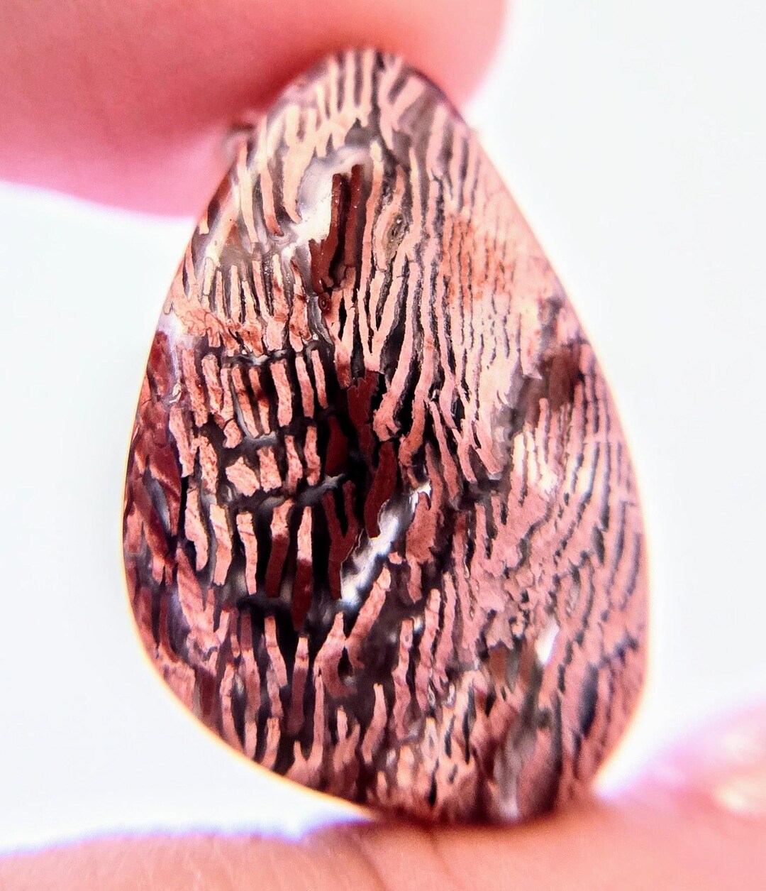 Incredible Rare Howardite Rattlesnake Royal Flamingo Jasper Drilled ...