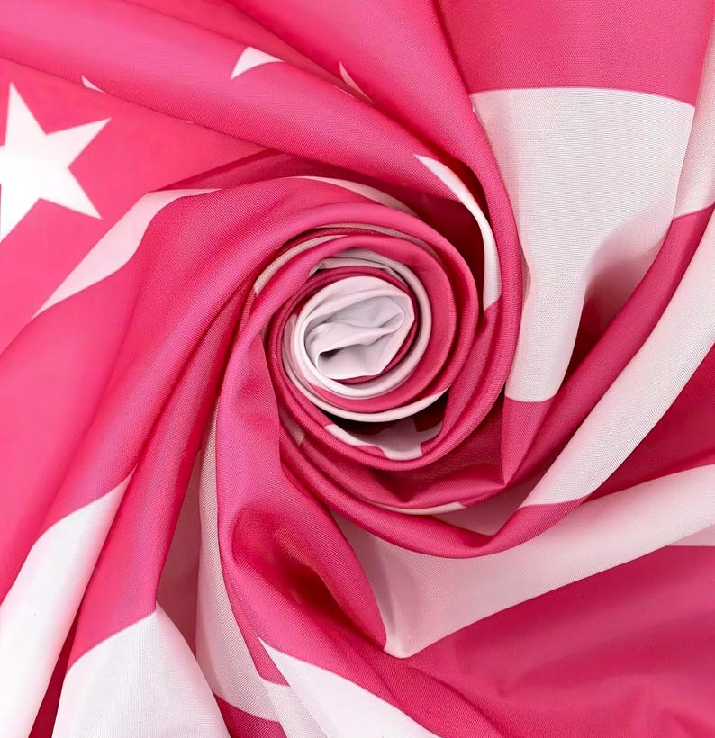 Heated Rivalry Tapestry, Hudson & Connor, Pink Flag LGBTQ Fabric Wall ...