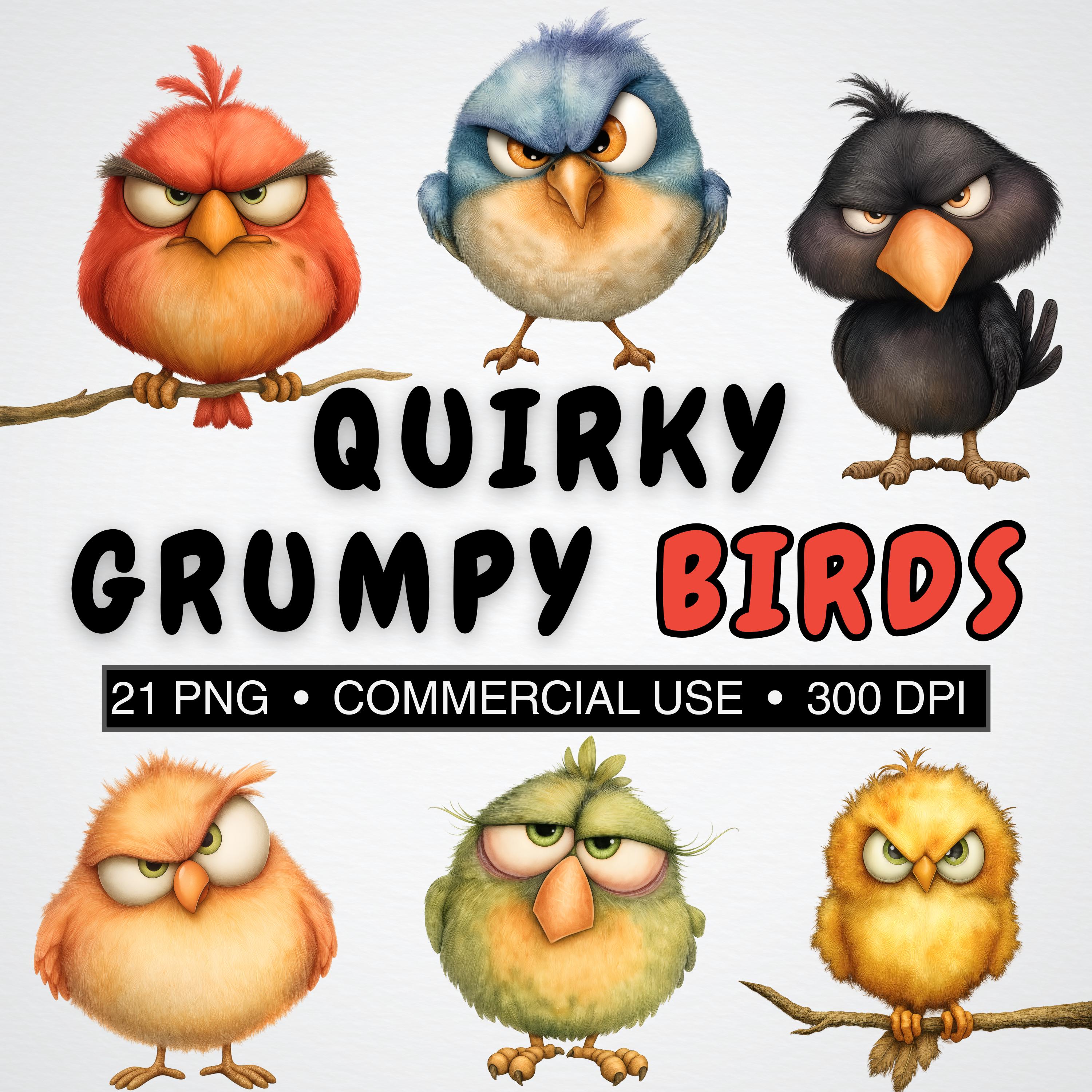 28 Quirky Grumpy Birds Clipart Bundle| Funny Annoyed Animal PNG at 300 ...