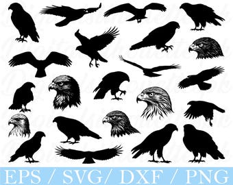 Hawk Svg - Etsy