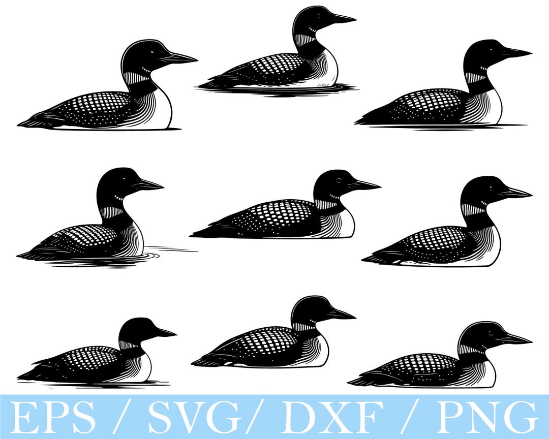 Loon Bird Silhouette: Vector Art, SVG, PNG, DXF (digital Download) - Etsy