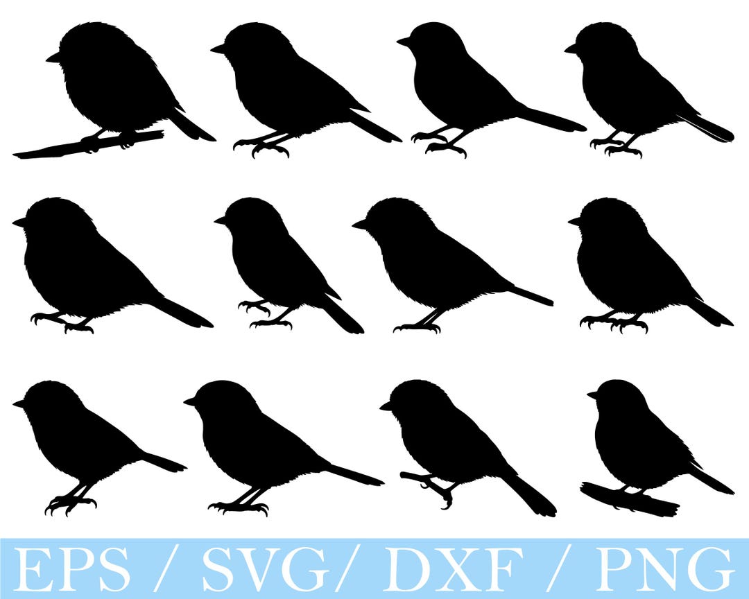 Chickadee Bird Svg, Chickadee Bird Silhouette, Chickadee Bird Cut File ...