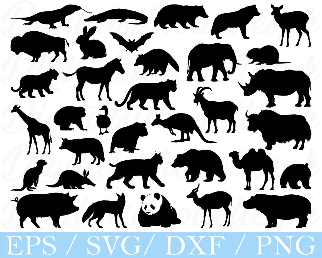 Forest Animals Svg, Animals Silhouette, Dxf, Png - Etsy