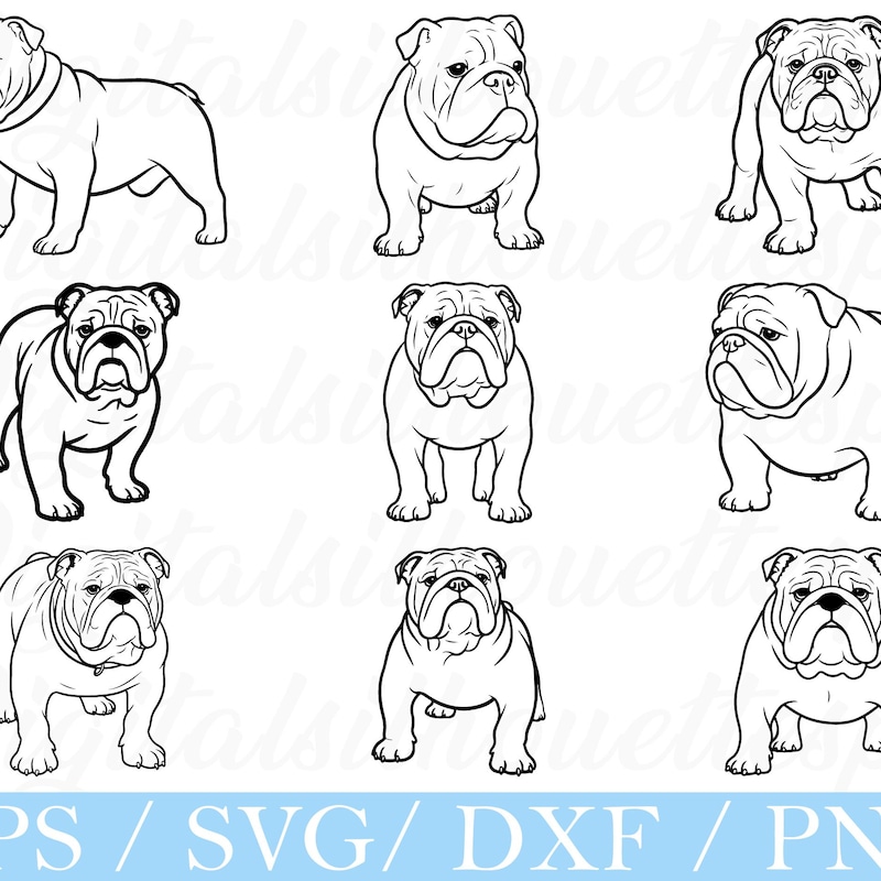Bulldog With Outline Svg - Etsy