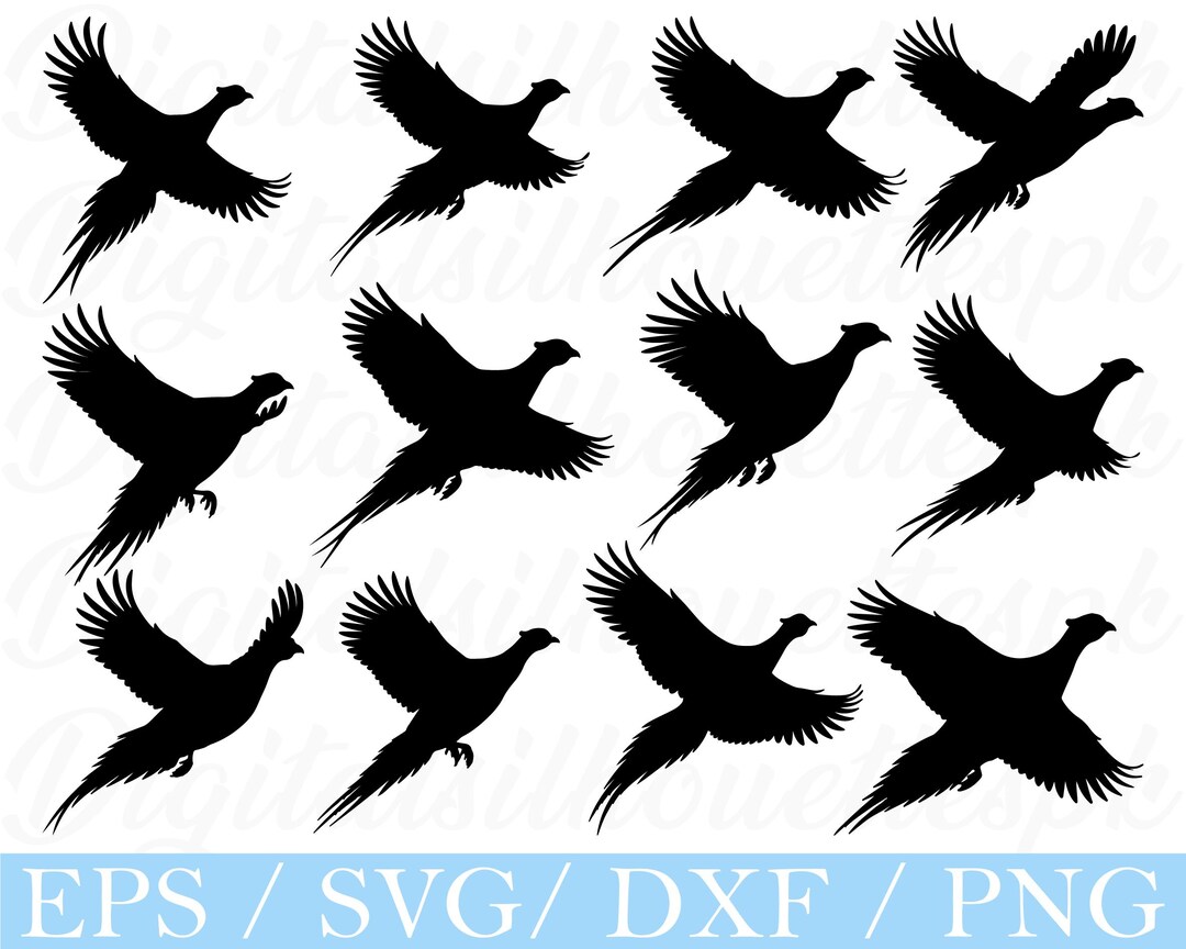 Flying Pheasant Bird Svg, Pheasant Bird Silhouette, Pheasant Cut File ...