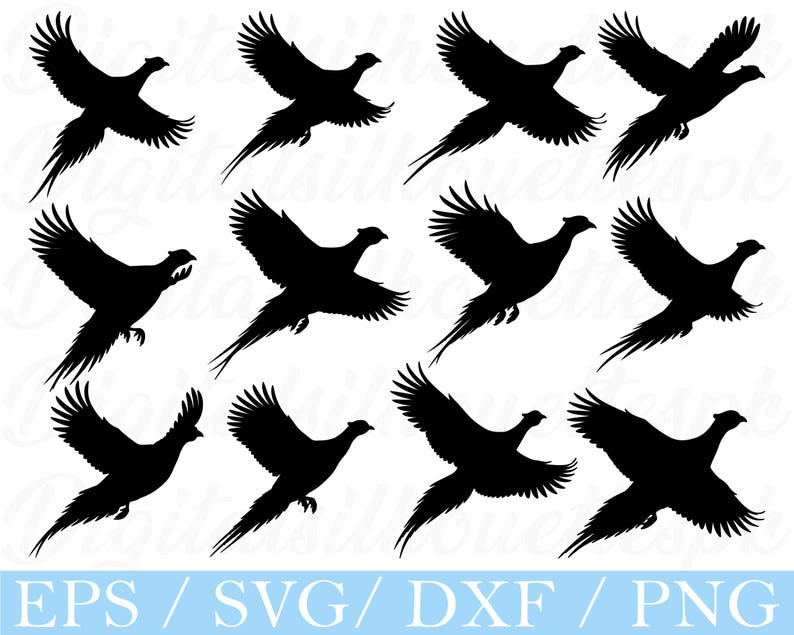 Flying Pheasant Bird Svg, Pheasant Bird Silhouette, Pheasant Cut File ...