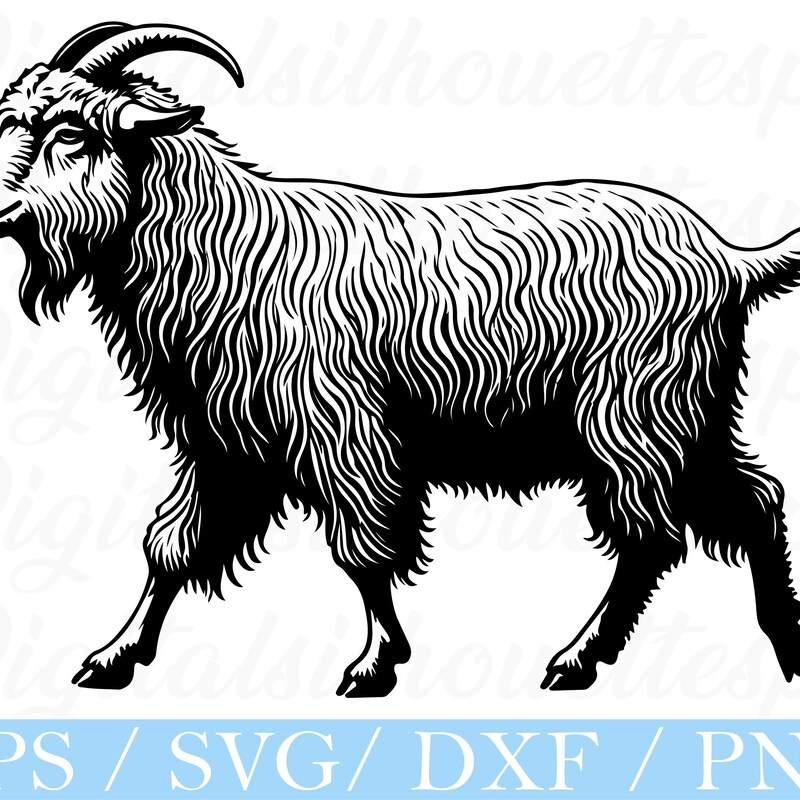 Angora Goat - Etsy