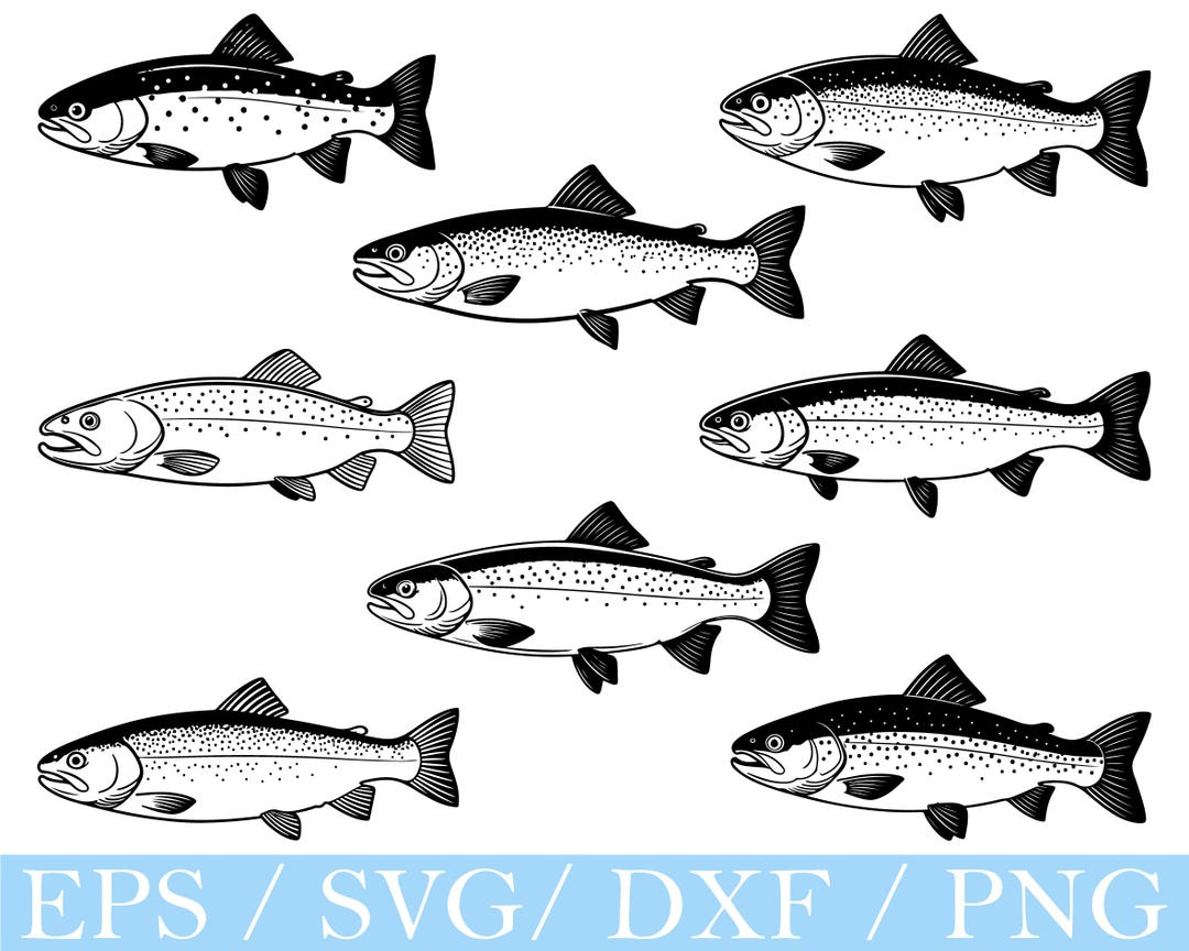 Trout Fish Svg, Trout Fish Silhouette, Trout Fish Vector, Dxf, Png - Etsy