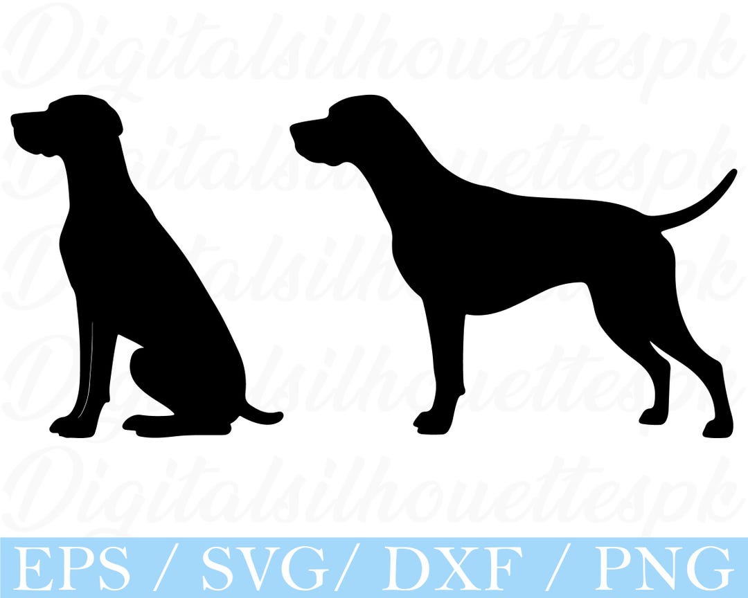Pointer Dog Svg, Pointer Dog Silhouette, Pointer Dog Vector, Dxf, Png ...