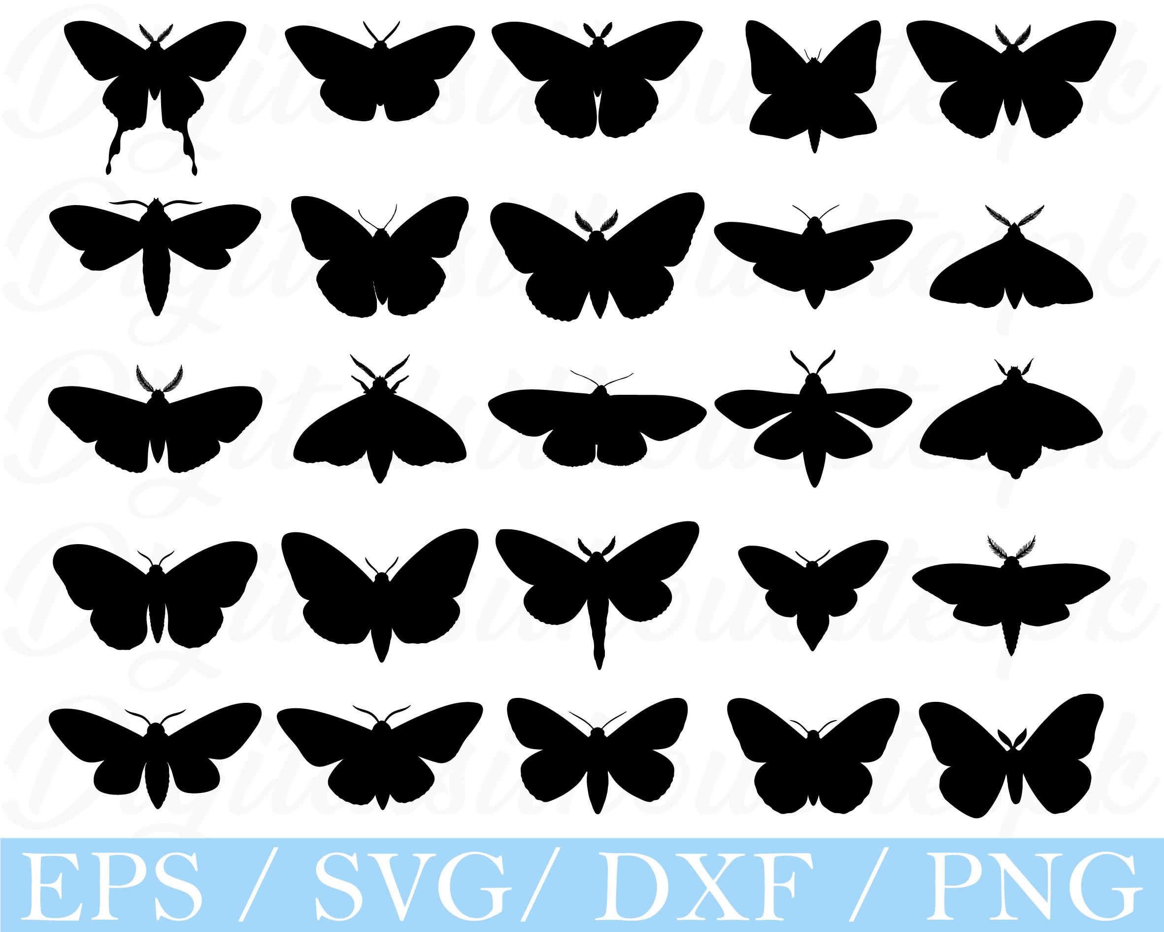 Moth Svg, Moth Silhouette, Dxf, Png - Etsy