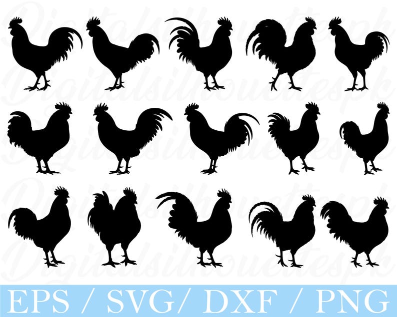 Gallo Svg, Silueta de gallo, Dxf, Png - Etsy México