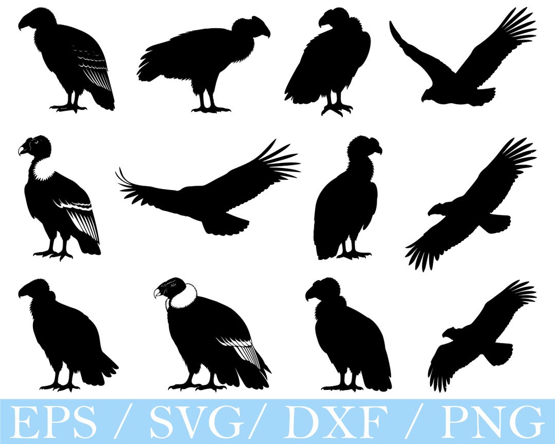 Condor Bird Svg, Condor Bird Silhouette, Condor Bird Vector, Dxf, Png ...