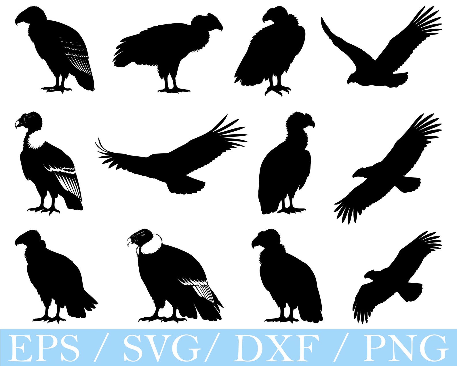 Condor Bird Svg, Condor Bird Silhouette, Condor Bird Vector, Dxf, Png ...