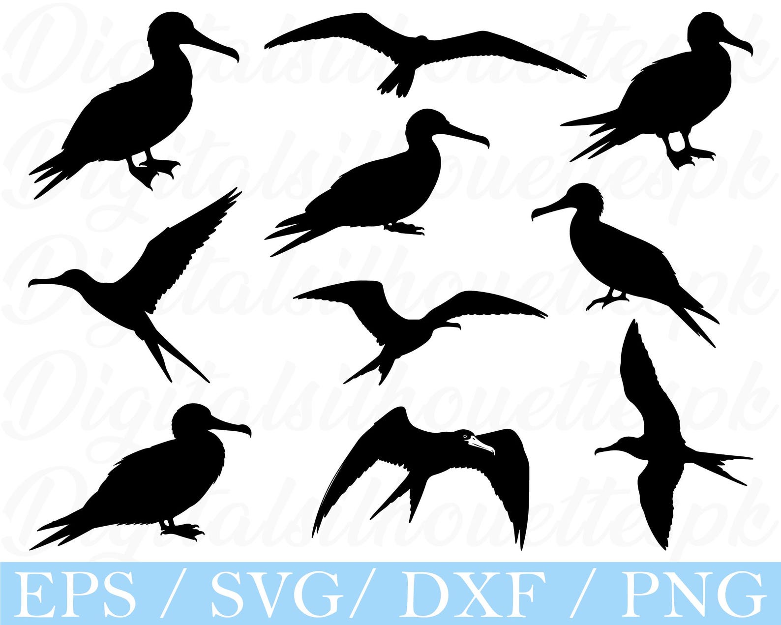 Frigate Bird Silhouette, Vector Graphics (digital Download) - Etsy