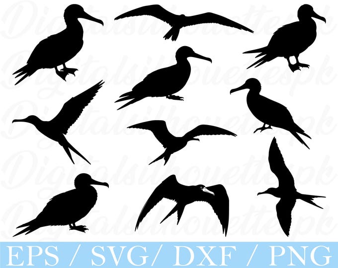 3 Iwa Birds in Flight SVG - Iwa Bird SVG - Bird Silhouette SVG - Hawaii ...